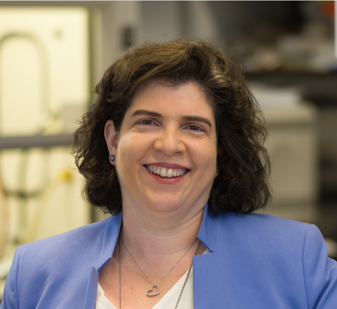 Faculty – PhD Program in Cellular and Molecular Physiology & Biophysics